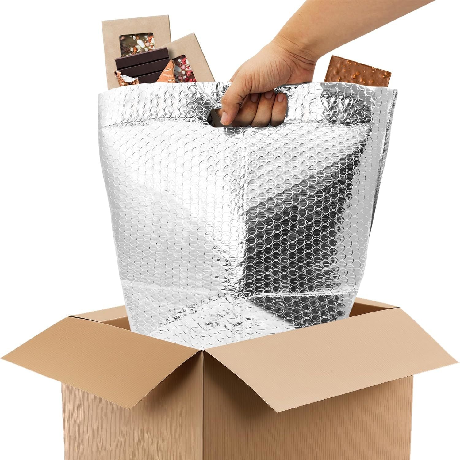 Insulated Thermal Bags with Handles 10x10x10, Pack of 10 - BagNook ...